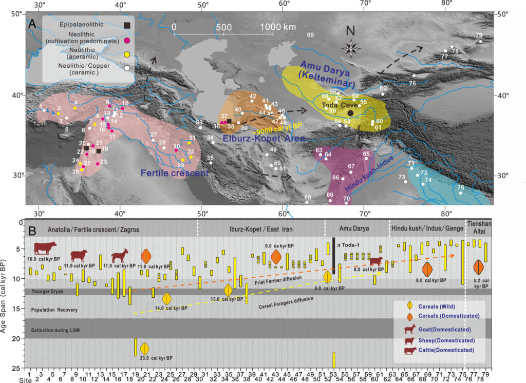 The Dawn of Civilization: The Origins of Agriculture Extend Far Beyond ...